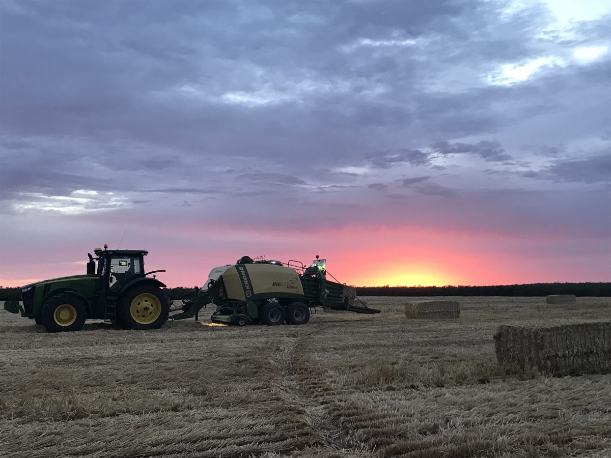 Hay Contracting & Sales - Bloomfield Hay & Transport