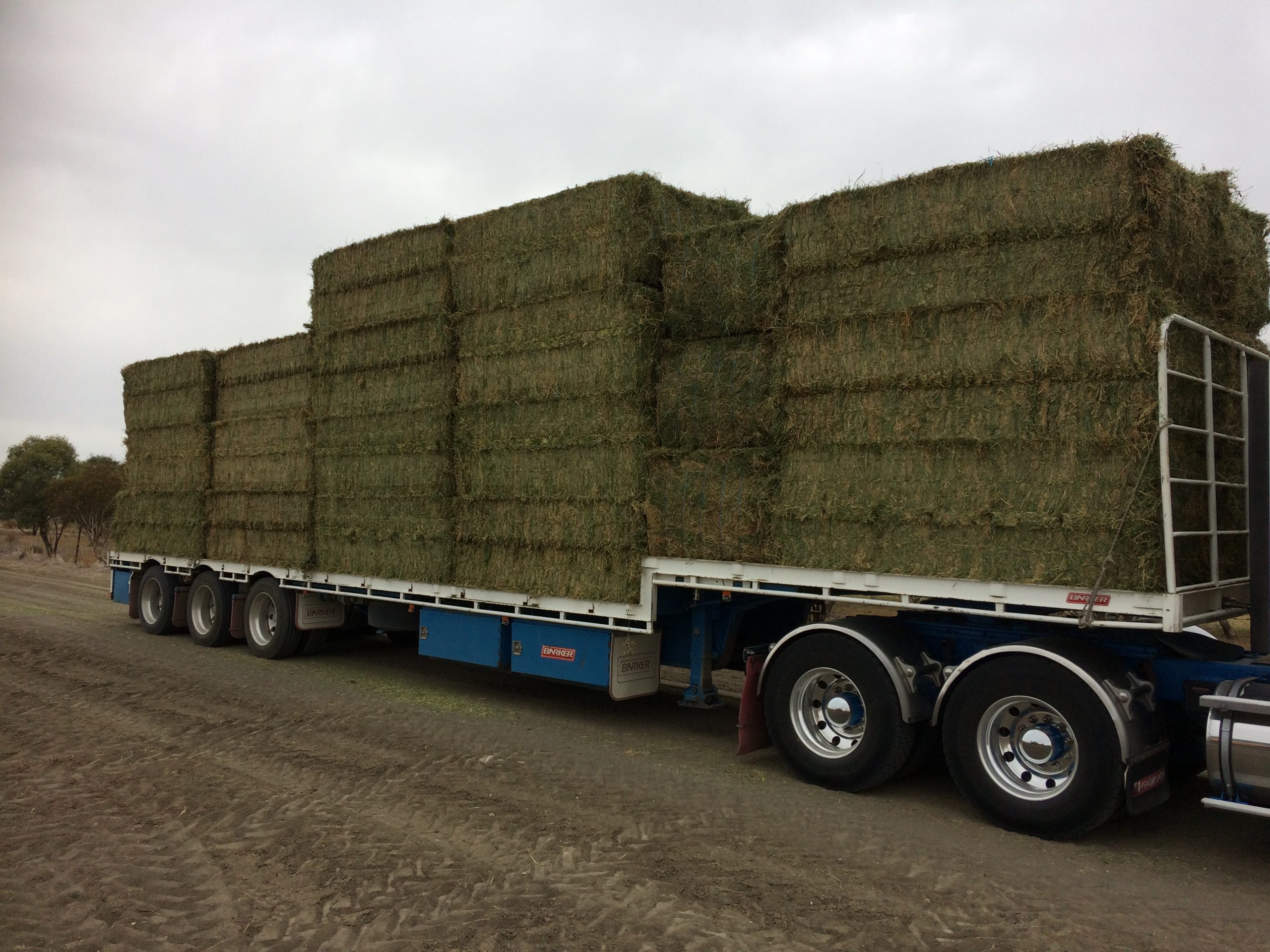 Hay Contracting & Sales - Bloomfield Hay & Transport