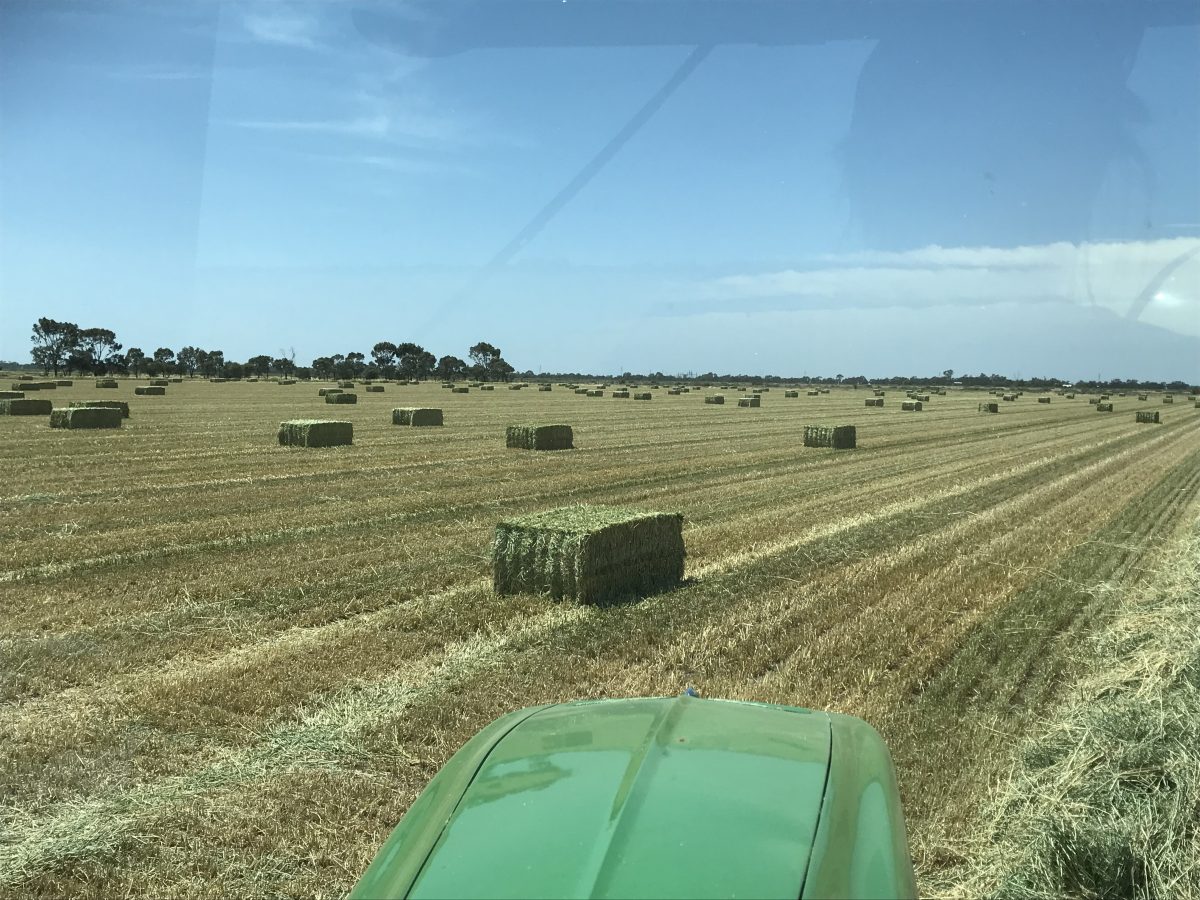 Hay Contracting & Sales - Bloomfield Hay & Transport